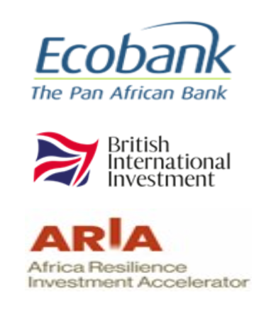 Ecobank Transnational Incorporated / Press release | British ...